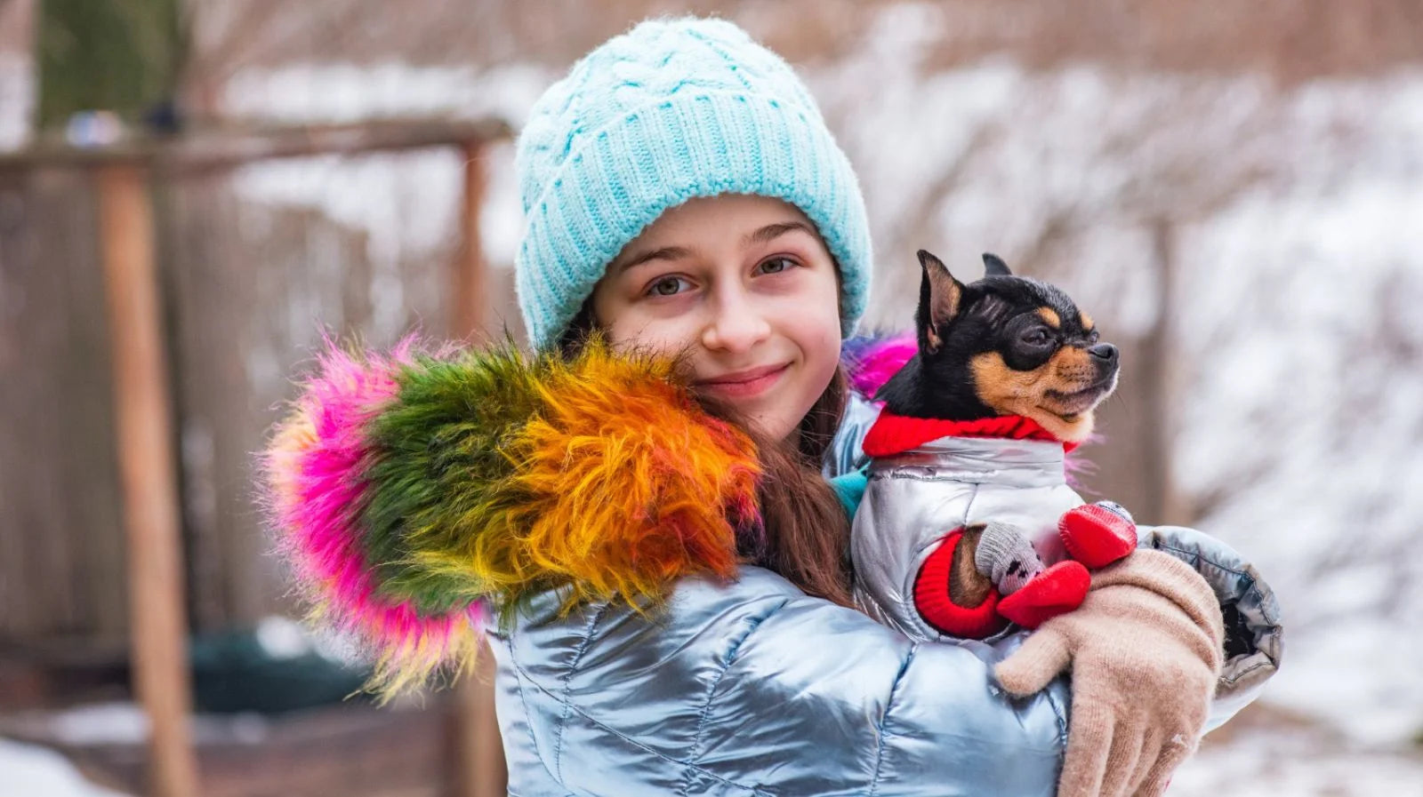 Winter Safety Tips for Pets: Essential Guide - FurrMeals